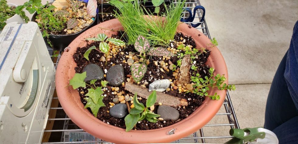 Suggested Horticultural Therapy Activities | Michigan Horticultural ...