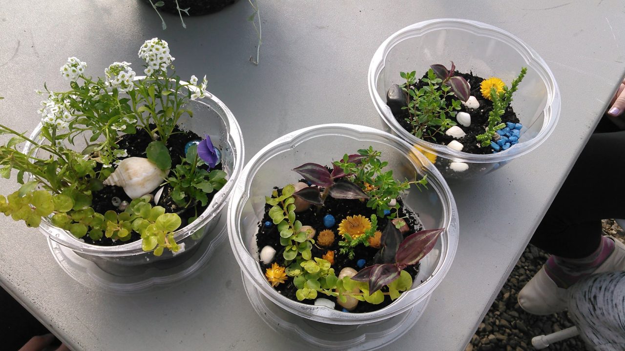 Horitcultural Activities | Michigan Horticultural Therapy Association